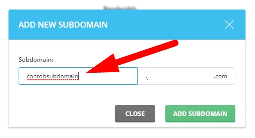 Panduan Membuat Subdomain Di Directadmin Oketheme